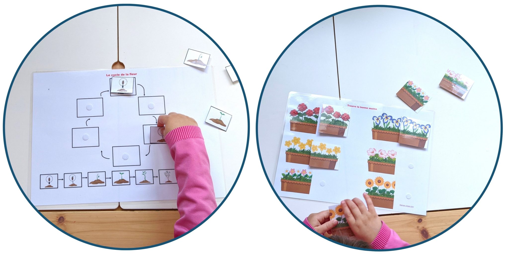 CAHIER D’ACTIVITÉs Les fleurs | Maman Chipie